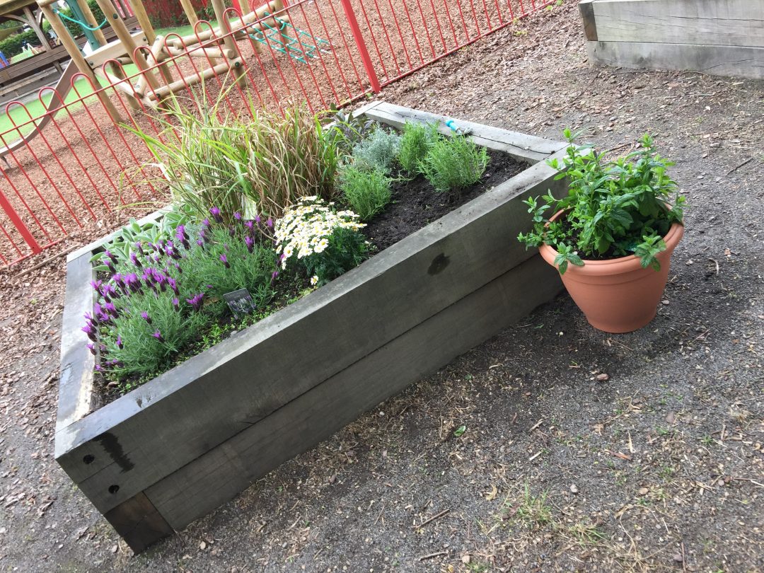 Our New Sensory Garden | Dunstall Hill Primary School